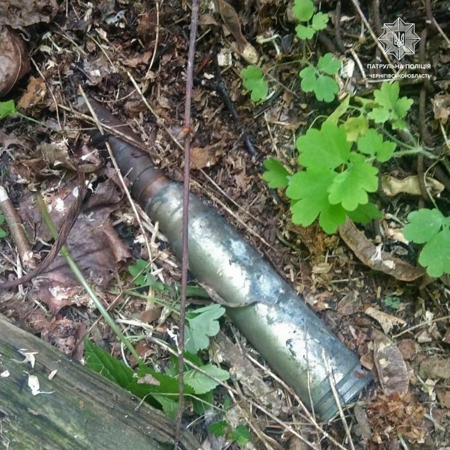 Чернігівські патрульні виявили вибухонебезпечний предмет у Ялівщині
